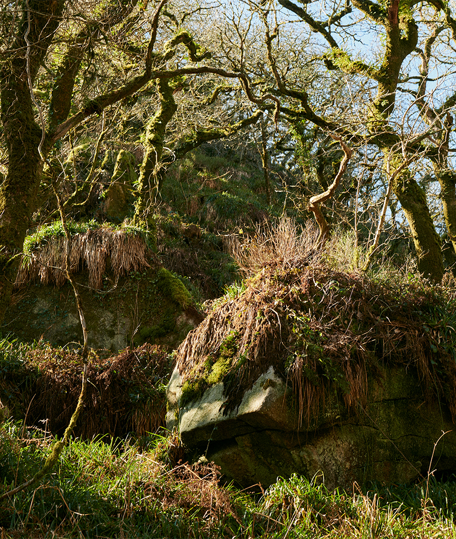 Activities | Cabilla Cornwall