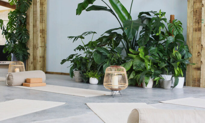 Gallery | Cabilla Cornwall