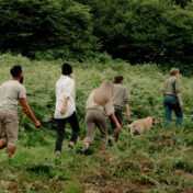 Dirty Weekends | Cabilla Cornwall