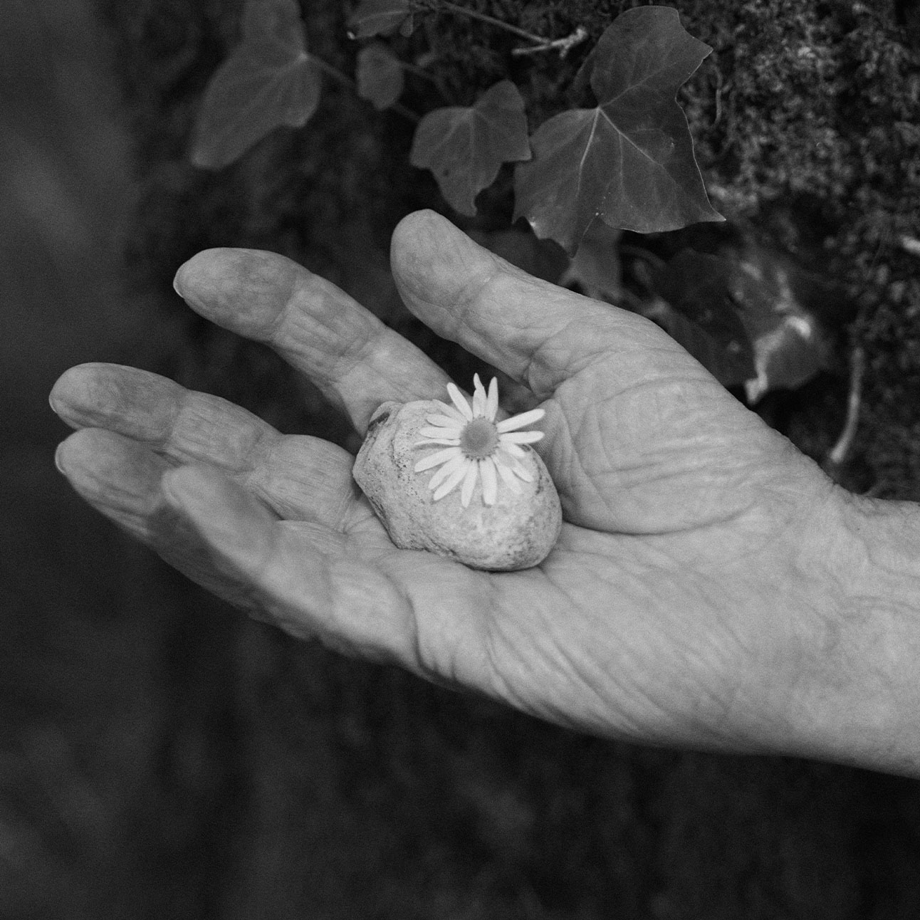 Dirty Weekends | Cabilla Cornwall