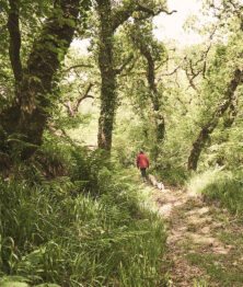 The Land | Cabilla Cornwall