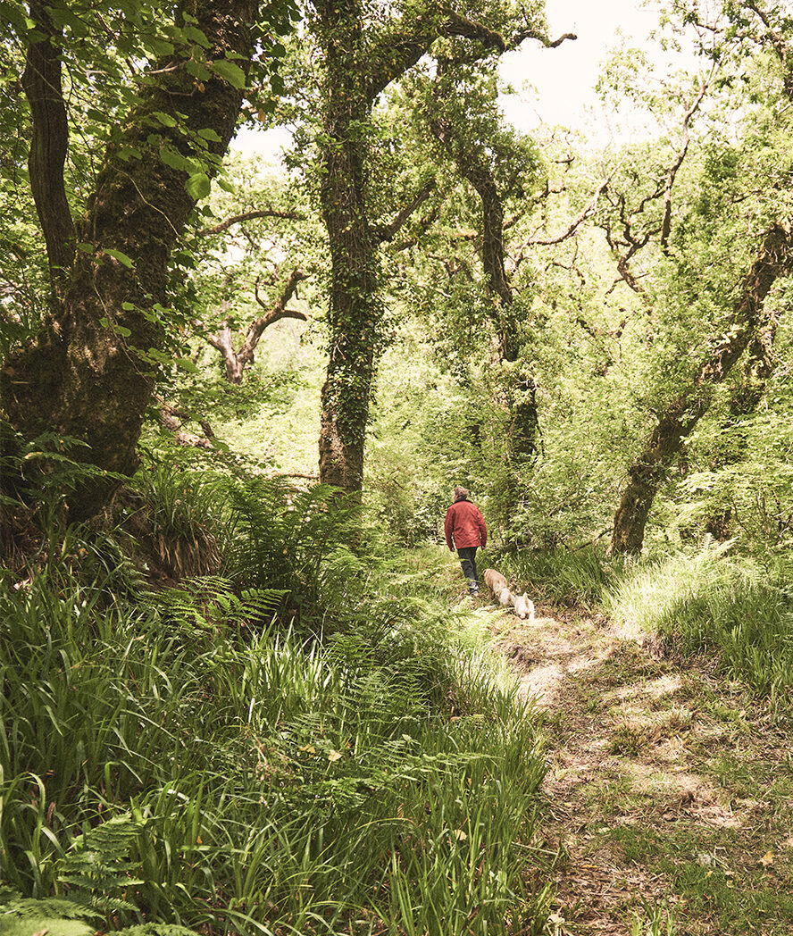 Cabilla Unplugged | Cabilla Cornwall