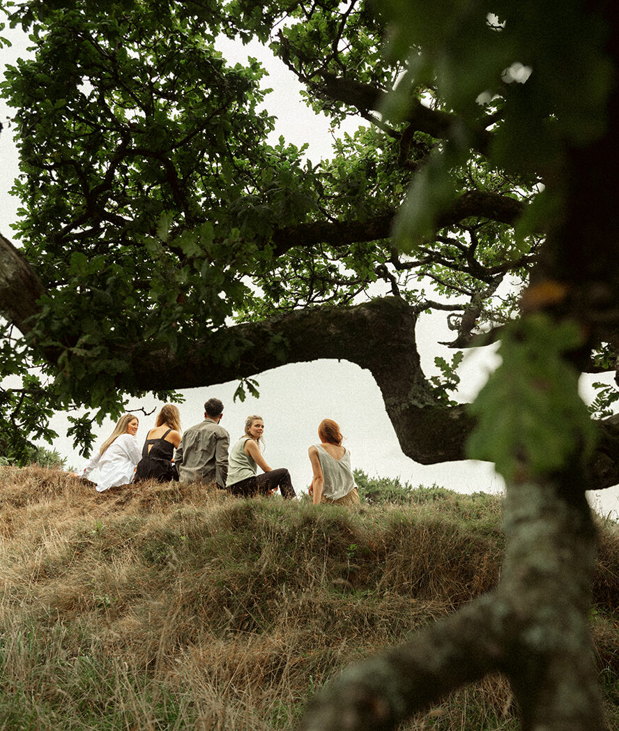 The Land | Cabilla Cornwall