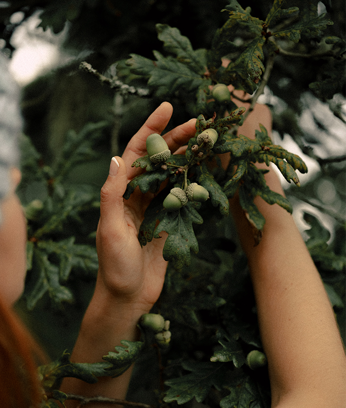 The Land | Cabilla Cornwall