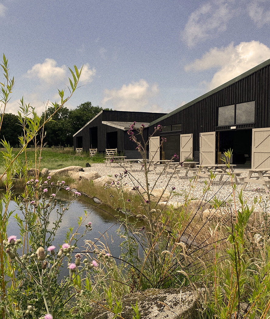 The Site | Cabilla Cornwall