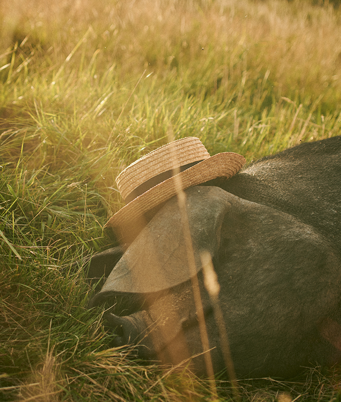 Practitioners | Cabilla Cornwall