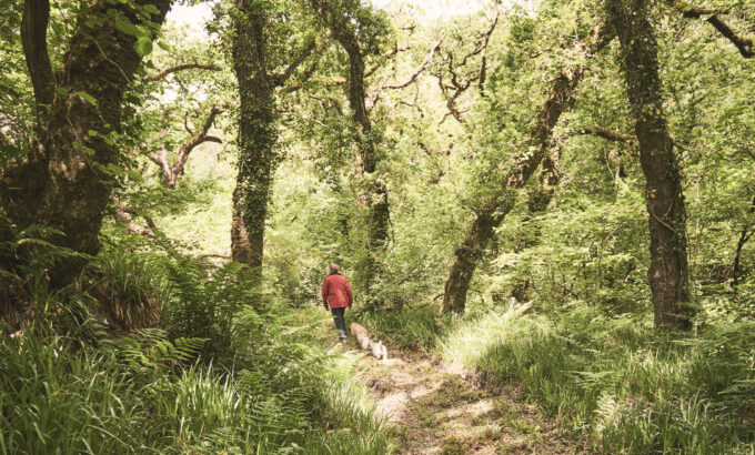 Our Restoration Mission | Cabilla Cornwall