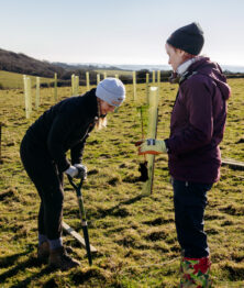 Thousand Year Project: Spring Update | Cabilla Cornwall