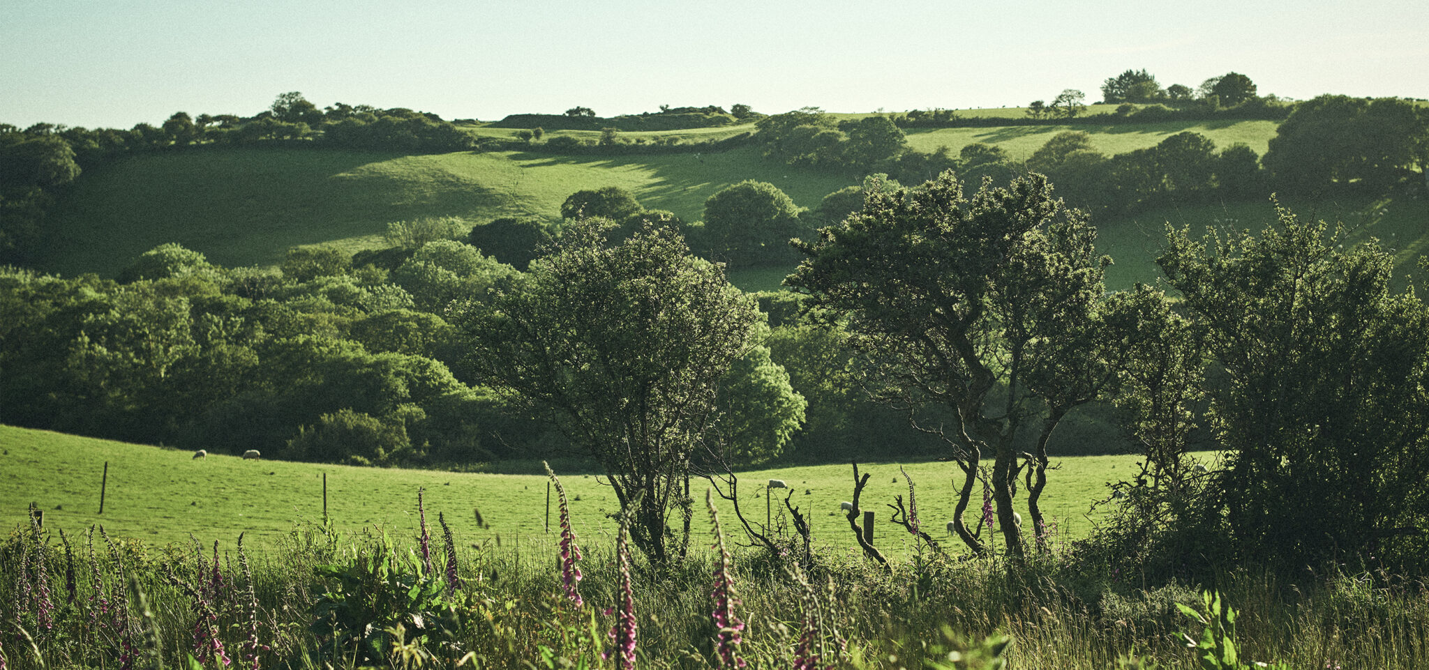 Go Bespoke | Cabilla Cornwall